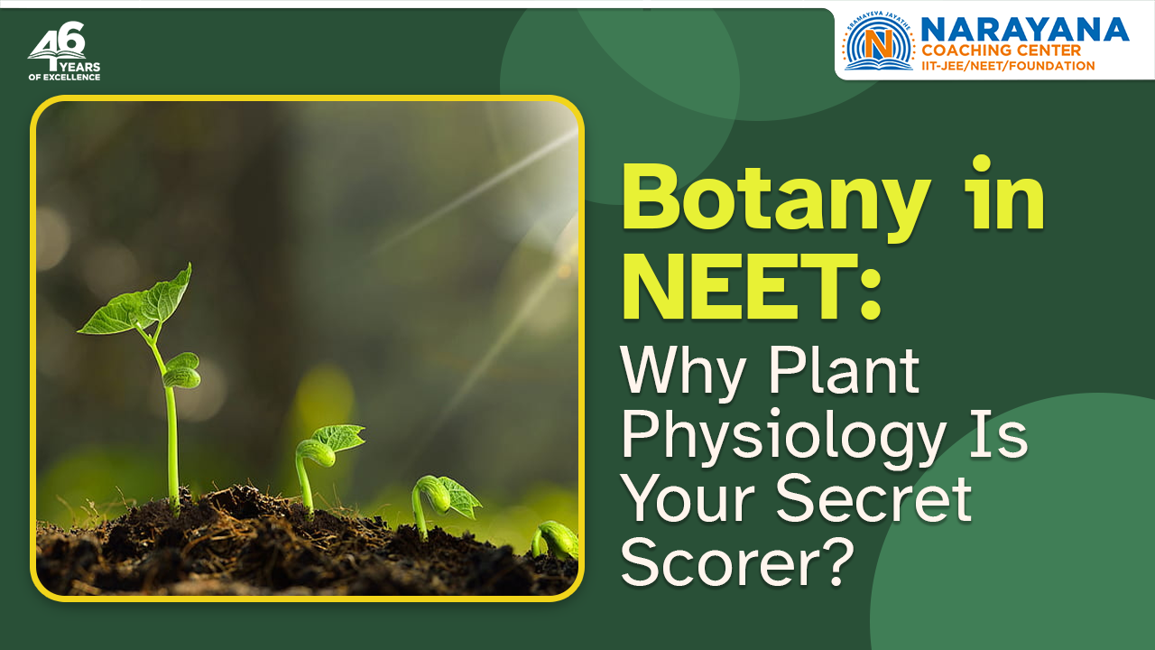 Botany in NEET: Why Plant Physiology is the Secret Scorer for 11th ...